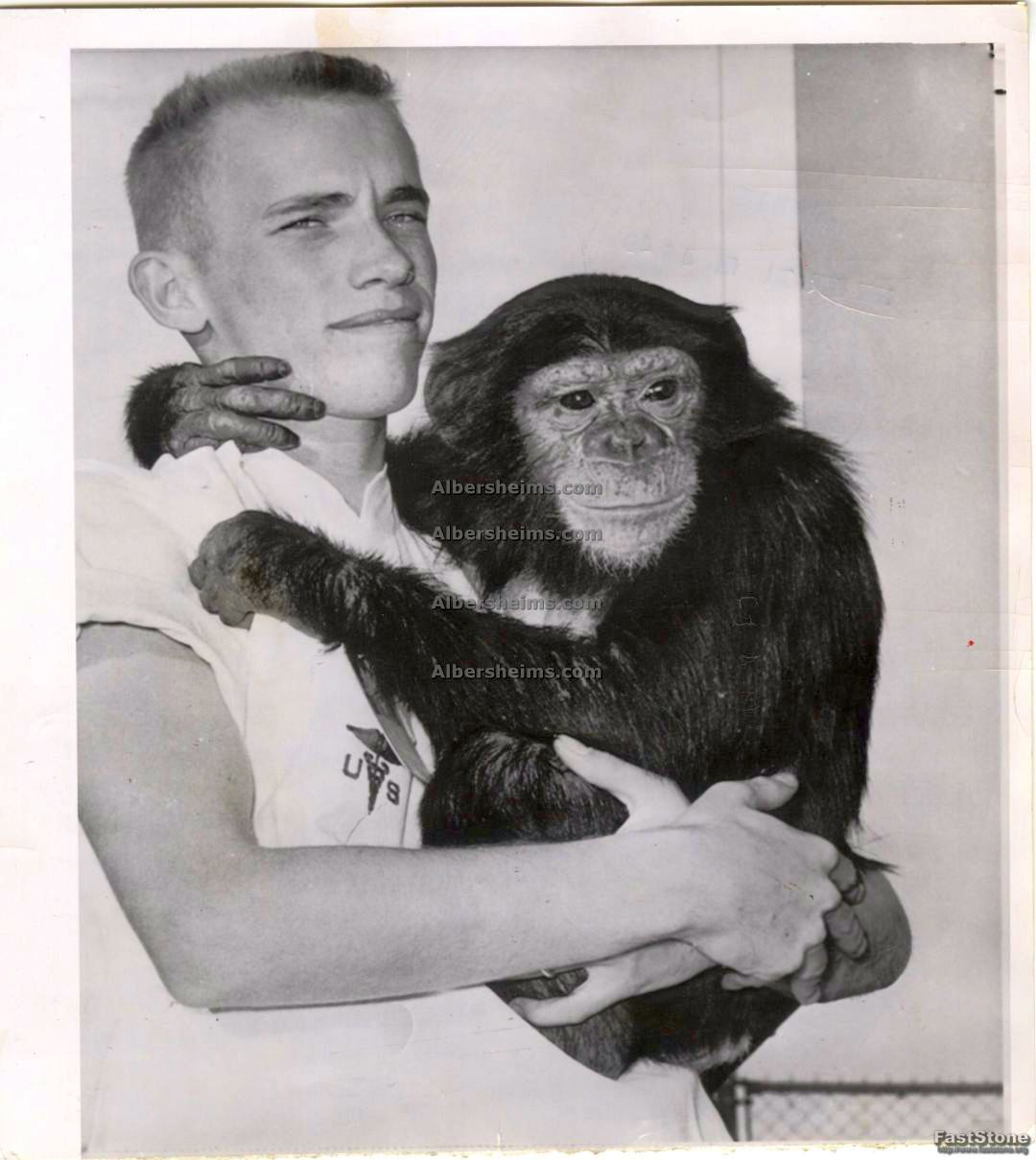 Ham the Chimp Gets Ready for his Space Mission Original 1961 Associate ...